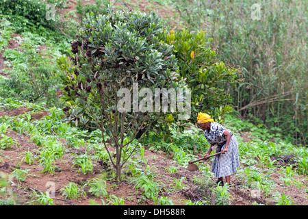 Farmers, Rui Vaz village, Santiago island, Cape Verde Stock Photo - Alamy