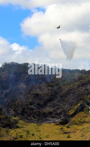 The 3rd Combat Aviation Brigade, 3rd Infantry Division command team ...