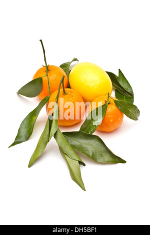 Ripe cytrus on white background Stock Photo - Alamy