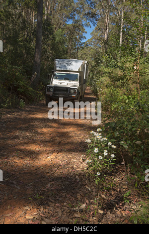 4WD campervan / mobile home driving along stony track through lush ...
