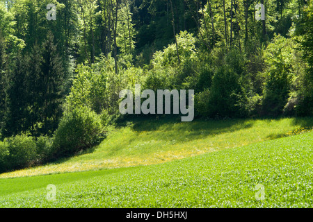 idyllic spring scenery in hohenlohe Stock Photo - Alamy