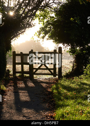 Silhouette of a fence and gate with a long shadow Lenham church yard ...