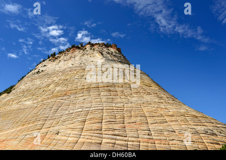 Checkerboard Mesa Table Mountain, Zion National Park, Utah, United ...