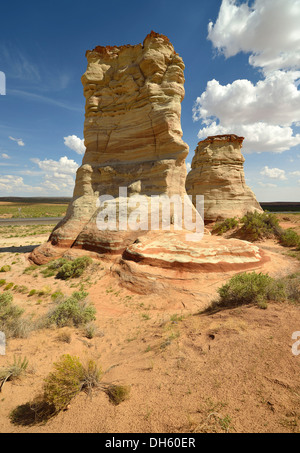 Huge sandstone elephant rock erosion monoliths standing in the desert ...