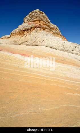 Brain Rocks at White Pocket, eroded Navajo sandstone rocks with ...