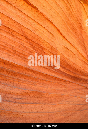 Detail view of typical Liesegang Bands or Liesegang Rings, The Wave ...
