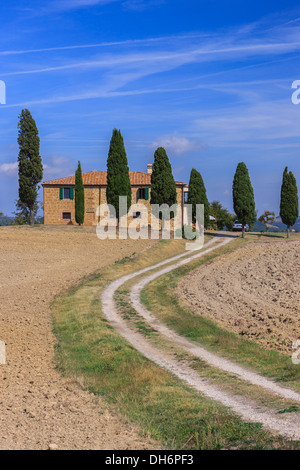 Colorful autumn cypress tree standing in swamp water with reflections ...