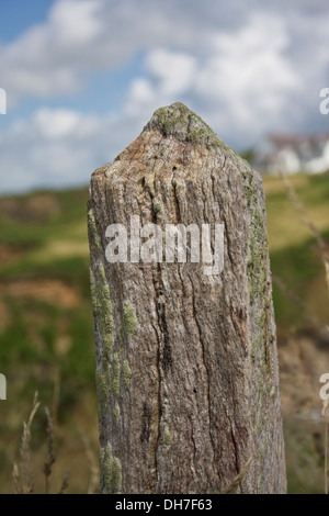 Decaying wooden fence background texture Stock Photo - Alamy