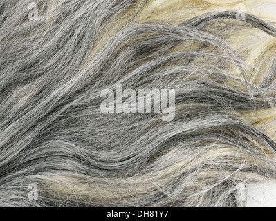 Grey Hair Texture For Background. grey hair background texture Stock ...