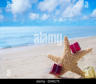 red starfish on golden sandy beach in summertime Stock Photo - Alamy