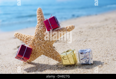 red starfish on golden sandy beach in summertime Stock Photo - Alamy