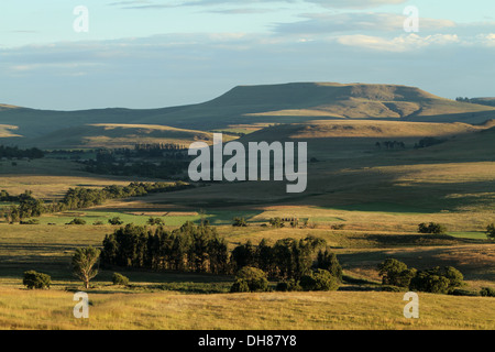 Nuwerus is a small town next to the N7 that goes up the West Coast into ...