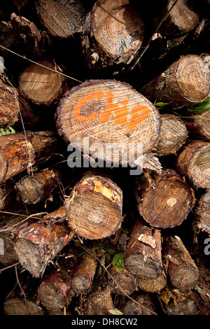 Stack of tree logs ready for chipping Stock Photo - Alamy