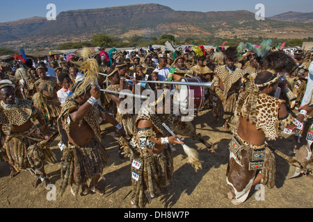 Zulu men from Nazareth Baptist Church in Kwazulu Natal play their ...
