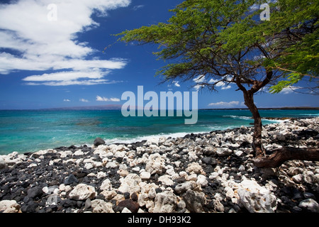 Hawaii, Maui, La Perouse Bay, A View Of La Perouse Bay From Rocky Lava ...