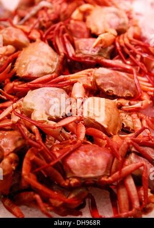 Different fish species seen at Palma de Mallorca´s city market, Spain ...