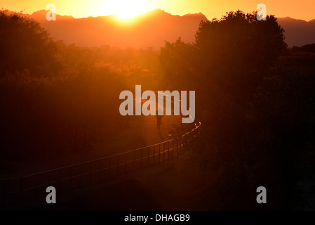 A cyclist rides The Loop at the Rillito River Park in the Sonoran ...