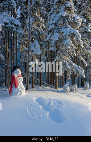 Snowman And Freshly Made Snowman Snow Angel In Front Of A Spruce Forest ...