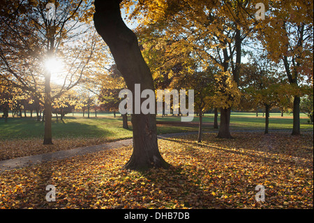 Lampton Park in the borough of Hounslow, London, England, UK Stock ...