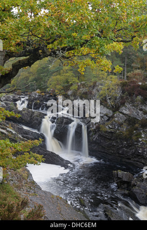 View of Rogie Falls in the Autumn Stock Photo - Alamy