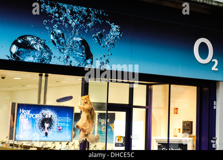 O2 mobile phone shop Northampton Stock Photo - Alamy