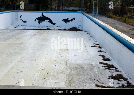 Disused swimming pool Stock Photo - Alamy