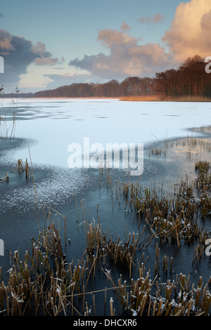 A view of Ormesby Little Broad, Norfolk, England, United Kingdom ...
