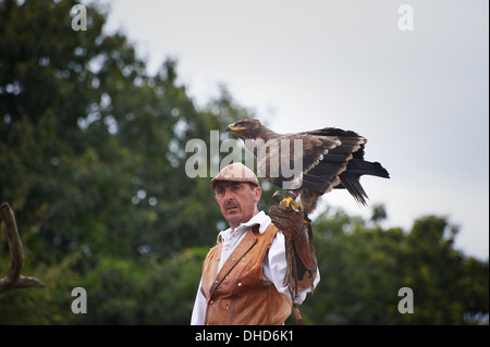 A Man in traditional falconers costume holding a bird of prey at Puy Du ...