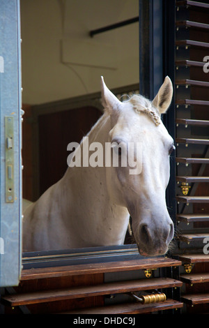 Spanish Riding School Stables Vienna, Austria Stock Photo - Alamy