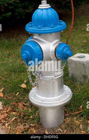 Blue fire hydrant Stock Photo - Alamy