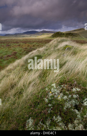 The Migneint, Snowdonia Stock Photo - Alamy