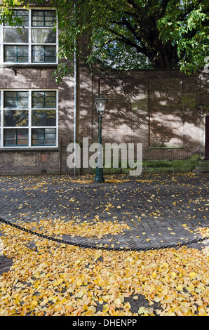 typical corner of the city of Leiden, Netherlands Stock Photo - Alamy