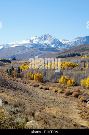 View from Conway Summit with Autumn colors, Route 395, California, USA ...