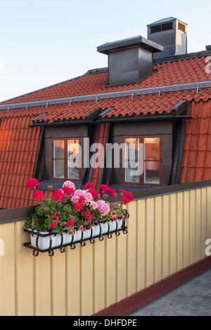 Balcony decorated with geraniums, with view over the rooftop Stock ...