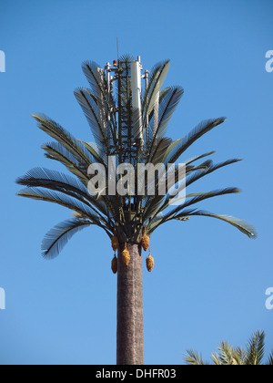 Artificial palm tree with hidden cellular antennas in Dubai Stock Photo ...