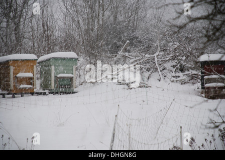 Bee Hive In The Snow Stock Photo - Alamy