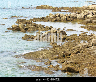 Rocks and Stone beach pattern closeup, Summer seacoast background Stock ...