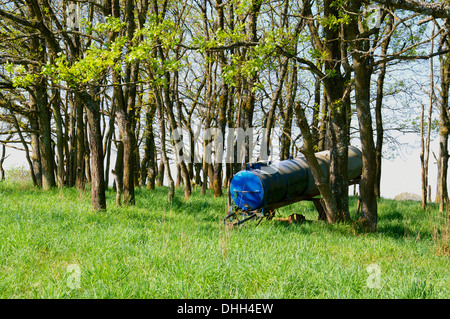 Spring feeling nature Stock Photo - Alamy