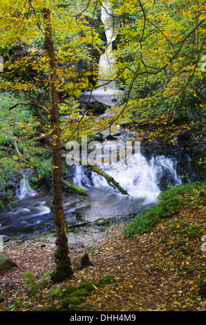 Catrigg Force waterfall in autumn Stock Photo - Alamy