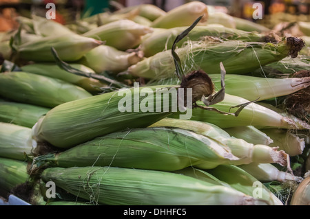 fresh sweet corn display at market place Stock Photo - Alamy
