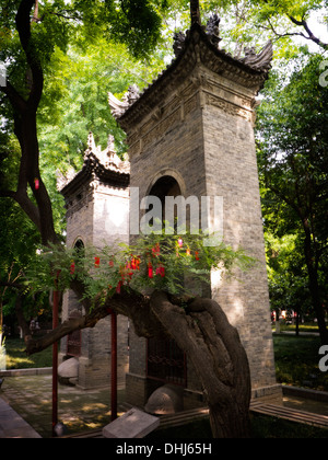 Small Wild Goose Pagoda, a Tang dynasty Buddhist monument, UNESCO World ...