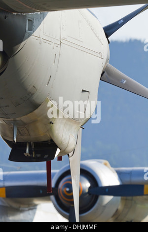Close up photos of engine and propeller from a WW2 plane painted in US ...