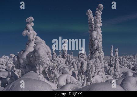 Snowy landscape in Lapland, Sweden Stock Photo - Alamy