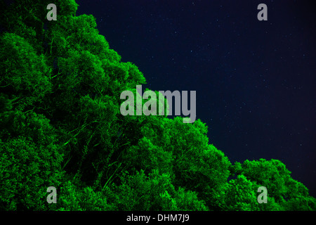 The silent starry sky of Shanwei, Guangdong, China Stock Photo - Alamy