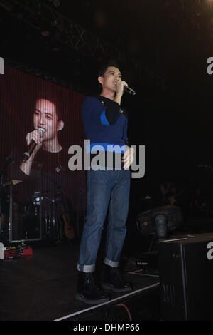 Taipei, China. 8th Nov, 2013. Singer Yoga Lin performs at his charity ...