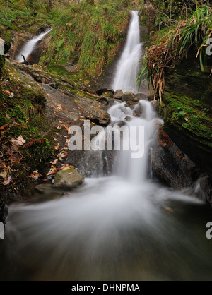 Holme Force, Holme Wood, Loweswater, Lake District, Cumbria Stock Photo ...