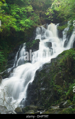 Torc Waterfall, County Kerry, Munster, Republic of Ireland, Europe ...