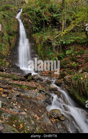 Holme Force, Holme Wood, Loweswater, Lake District, Cumbria Stock Photo ...