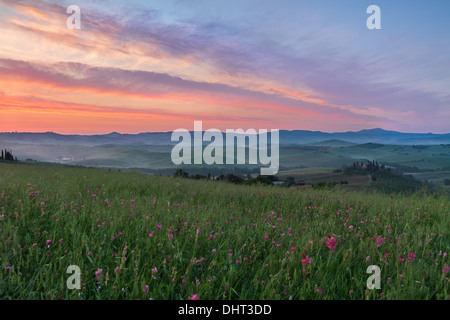 Val d'Orcia after sunrise with violet sky, Tuscany, Italy Stock Photo ...