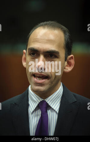 Brussels, Bxl, Belgium. 15th Nov, 2013. Dr. Marc Sprenger Director of ...